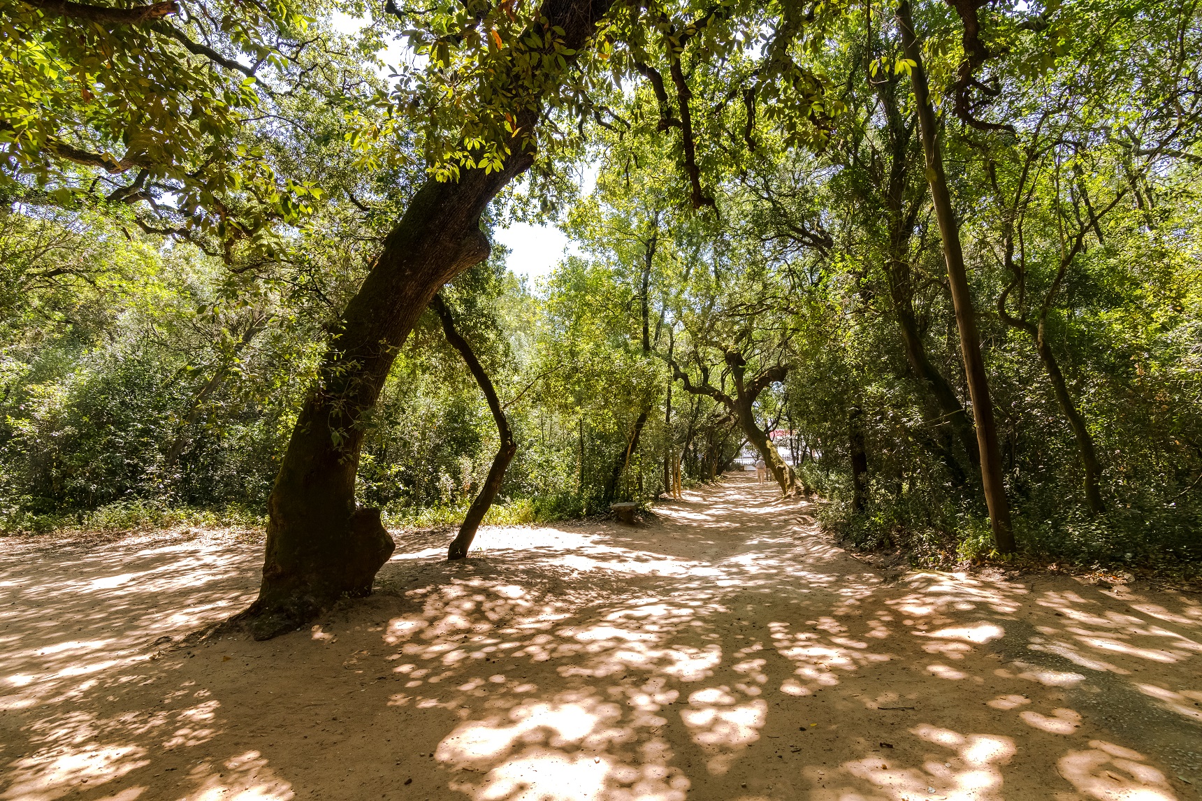 Site Autárquico - CM BOMBARRAL