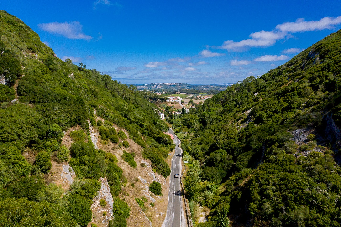 Site Autárquico - CM BOMBARRAL